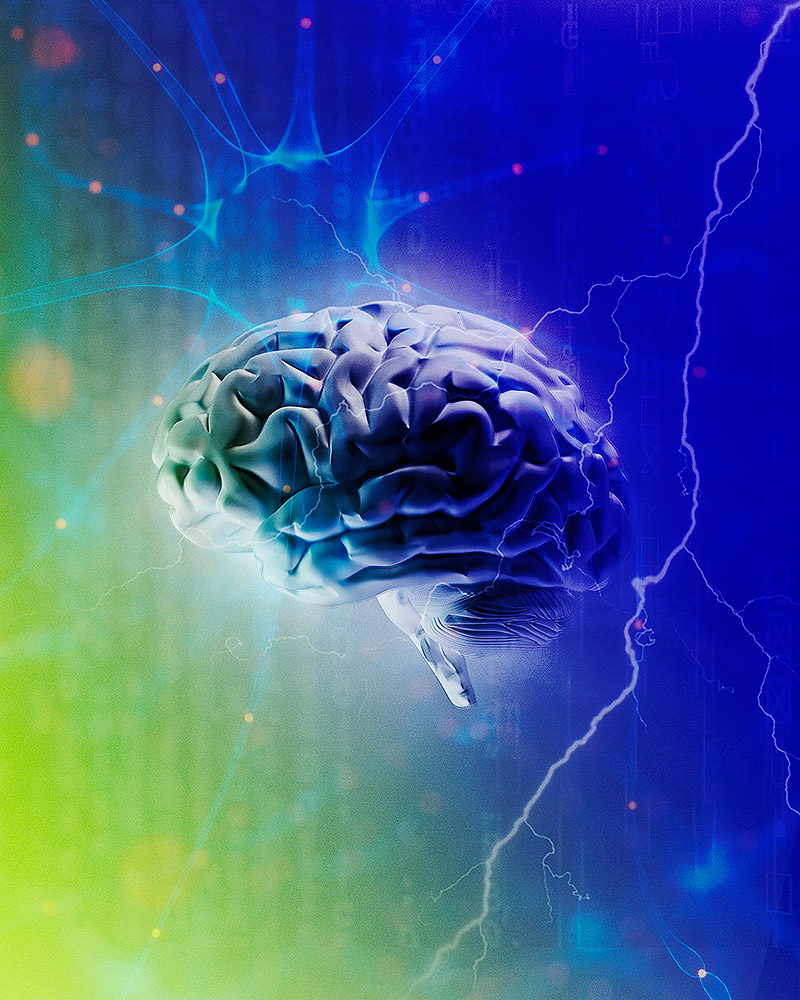 Bioelectricidad - Gedesel